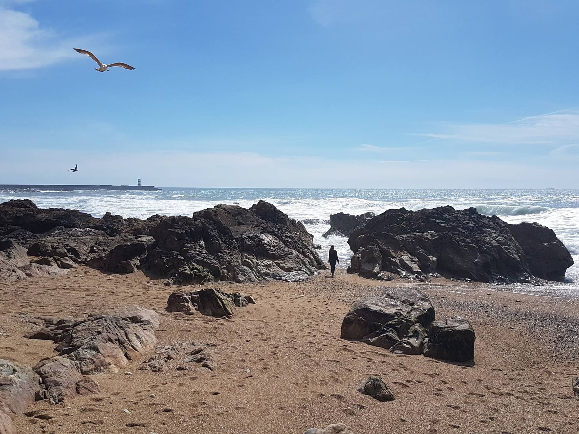 Barbara Maria Pfaller | WeRoad