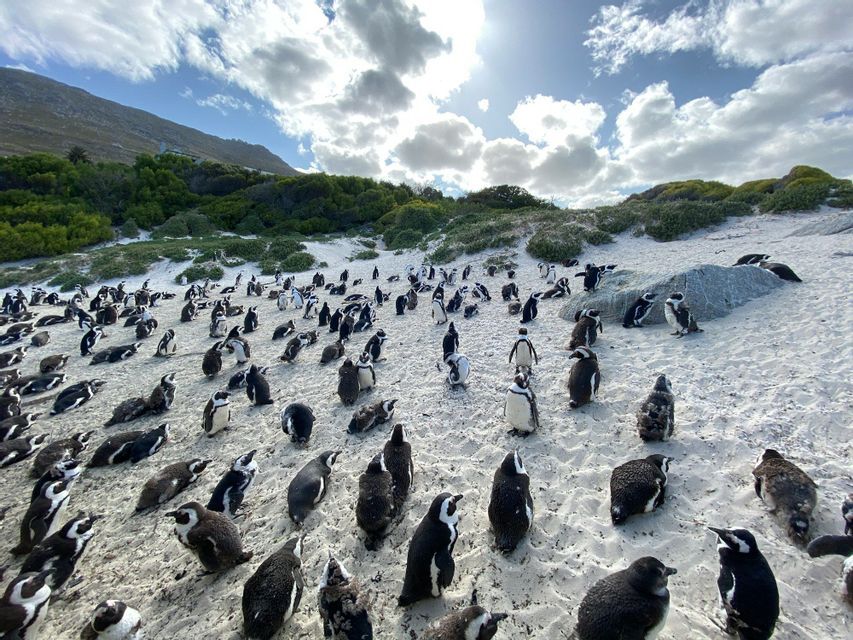 Best Falkland Islands group tours 2026 | WeRoad