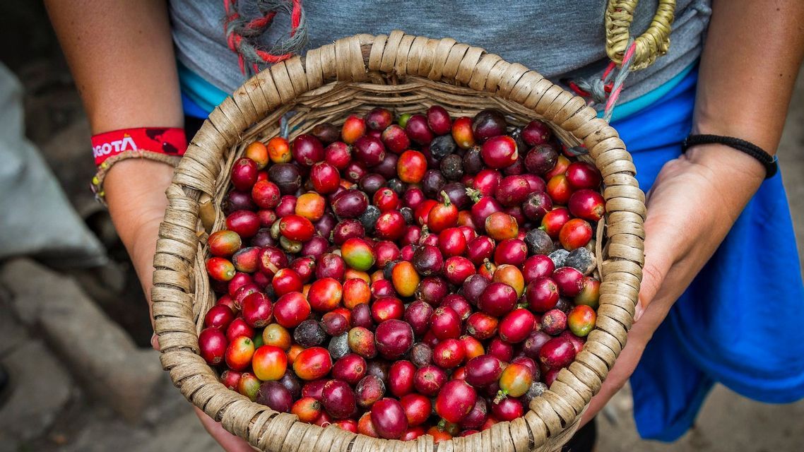 Le bon WeRoader | WeRoad